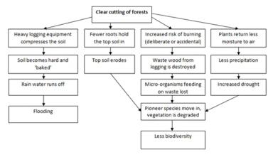 The flow chart illustrates the consequence of deforestation - IELTS ...