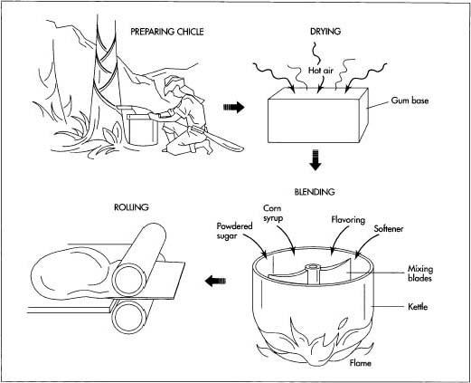 The diagram indicates how chewing gum is made - IELTS Writing Essay Sample