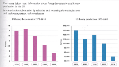 Latest IELTS Academic Writing task 1 Topics July & August 2024 with answers