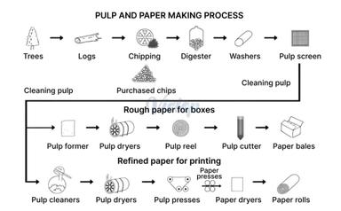 “The diagram below shows the process of making paper from raw materials ...