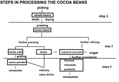 The diagram below shows the stages in processing cocoa beans - IELTS Writing Essay Sample