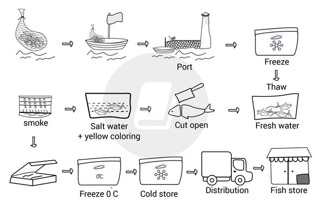 the diagram illustrates the process of making smoked fish - IELTS ...