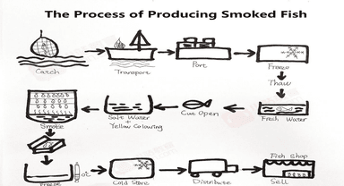 The diagram below shows the process of producing smoked fish - IELTS ...